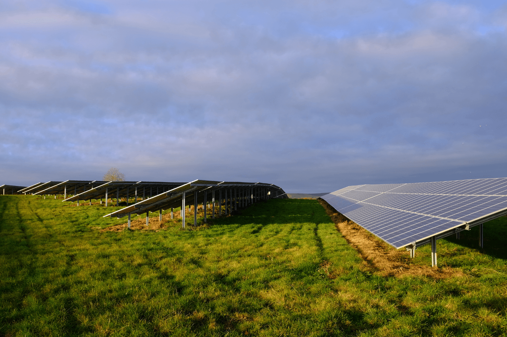 Alquilar terreno para placas solares: ¿Es rentable? | Meeco